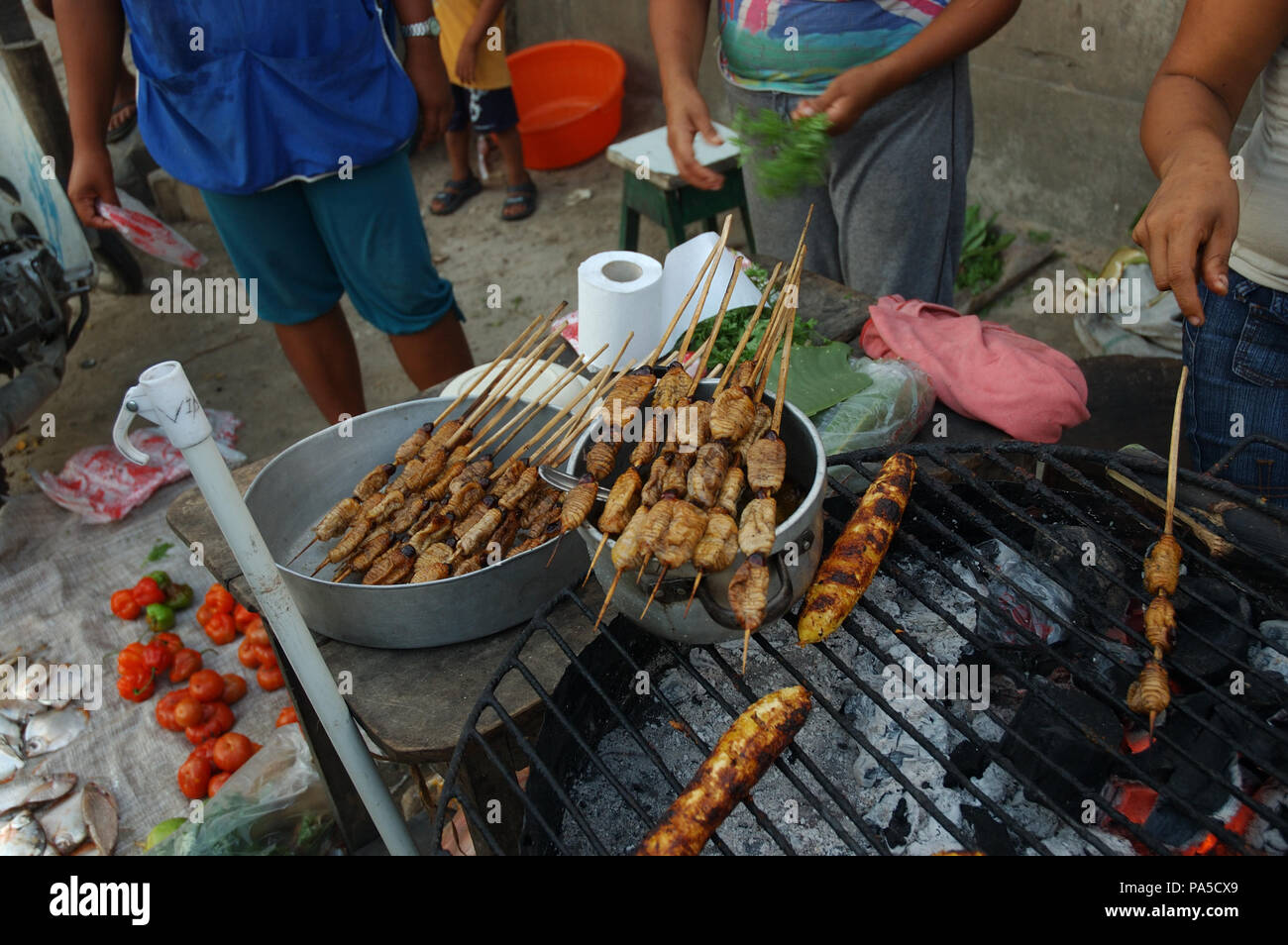 Amazoniananimals hi-res stock photography and images - Alamy