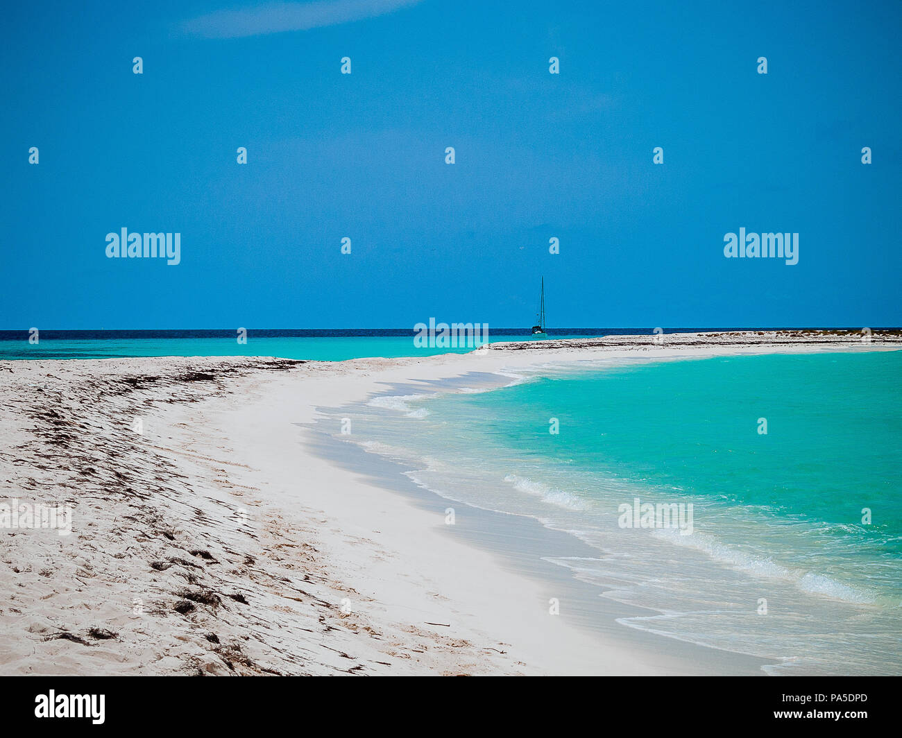 Tropical beach of island Cayo de Agua, Los Roques, Venezuela Stock ...