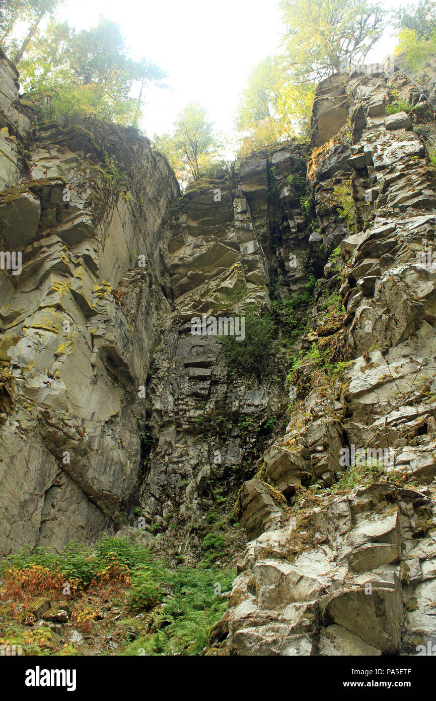 Cliff Looking Up