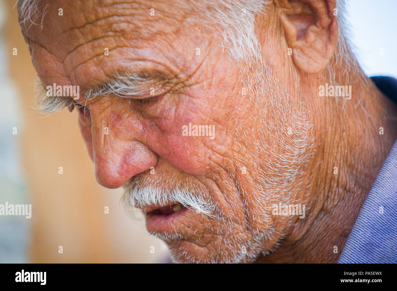 Portrait of an old man in samarkand hi-res stock photography and images ...