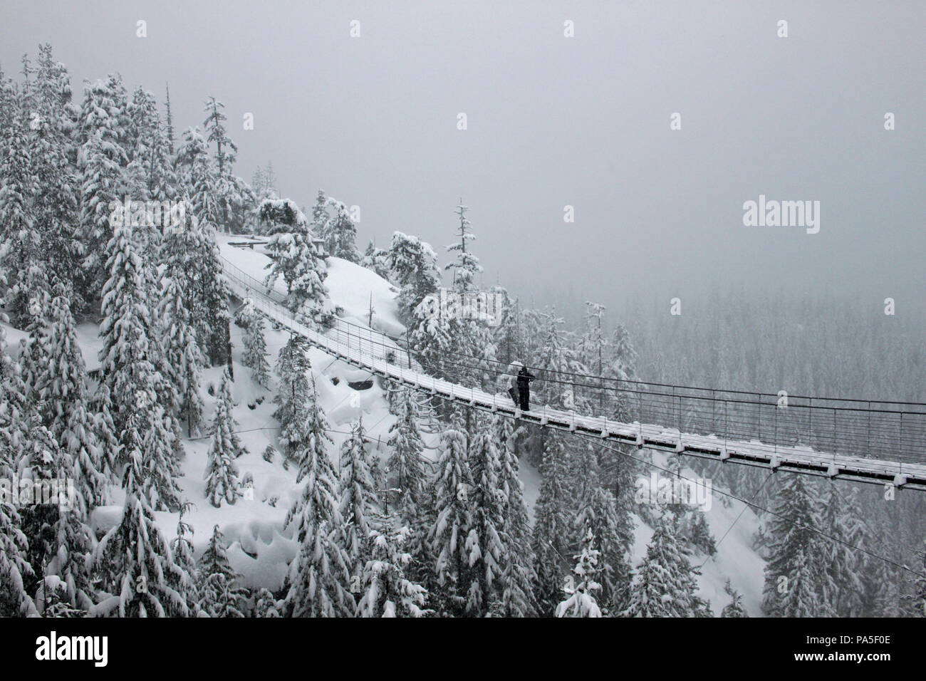 Covered suspension bridge hi-res stock photography and images - Alamy