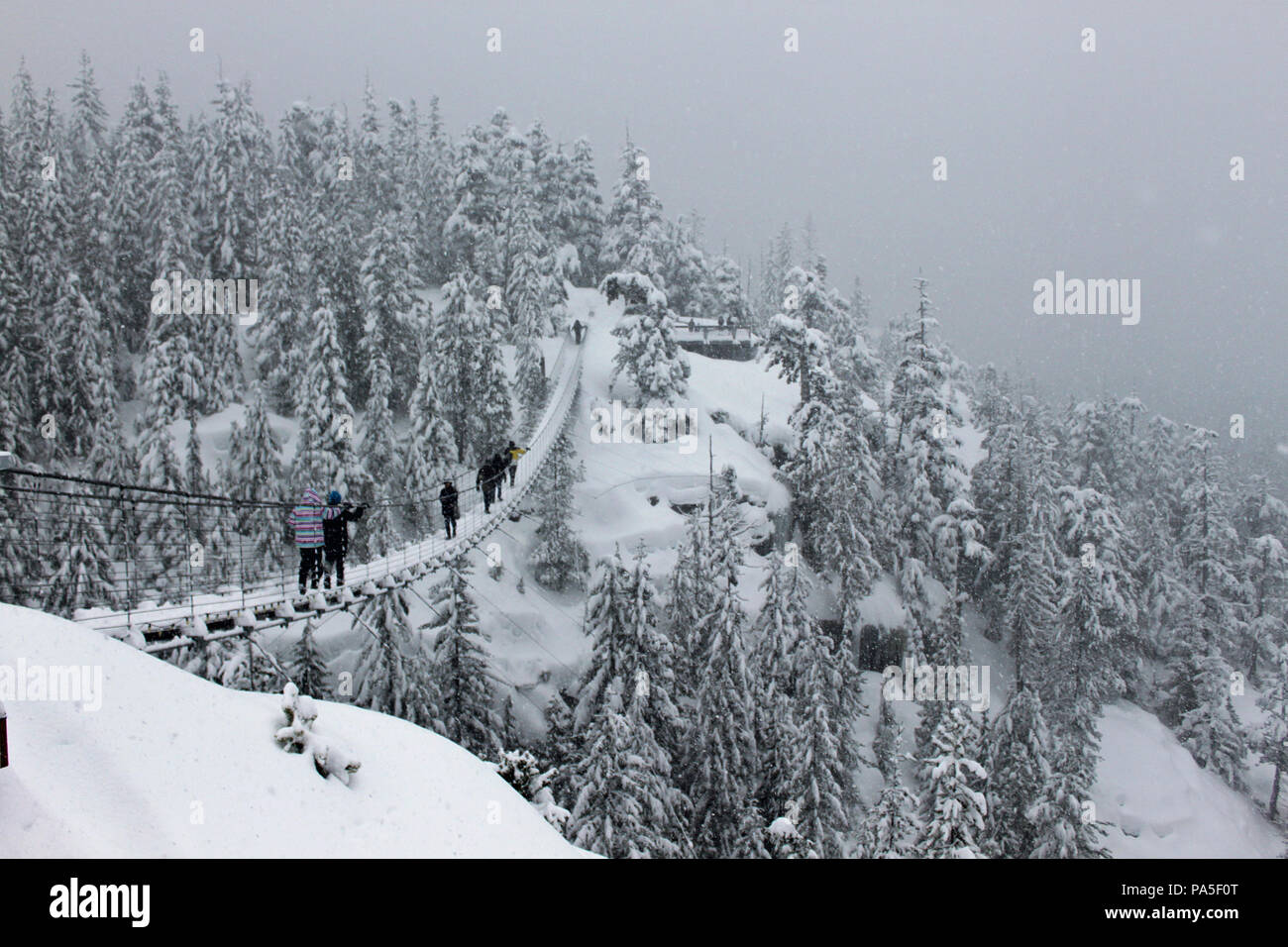 Covered suspension bridge hi-res stock photography and images - Alamy