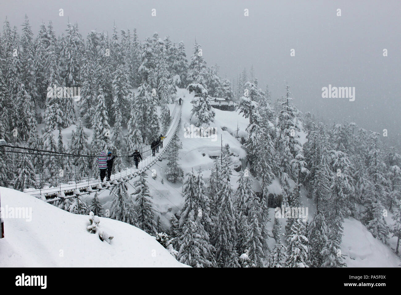 Covered suspension bridge hi-res stock photography and images - Alamy