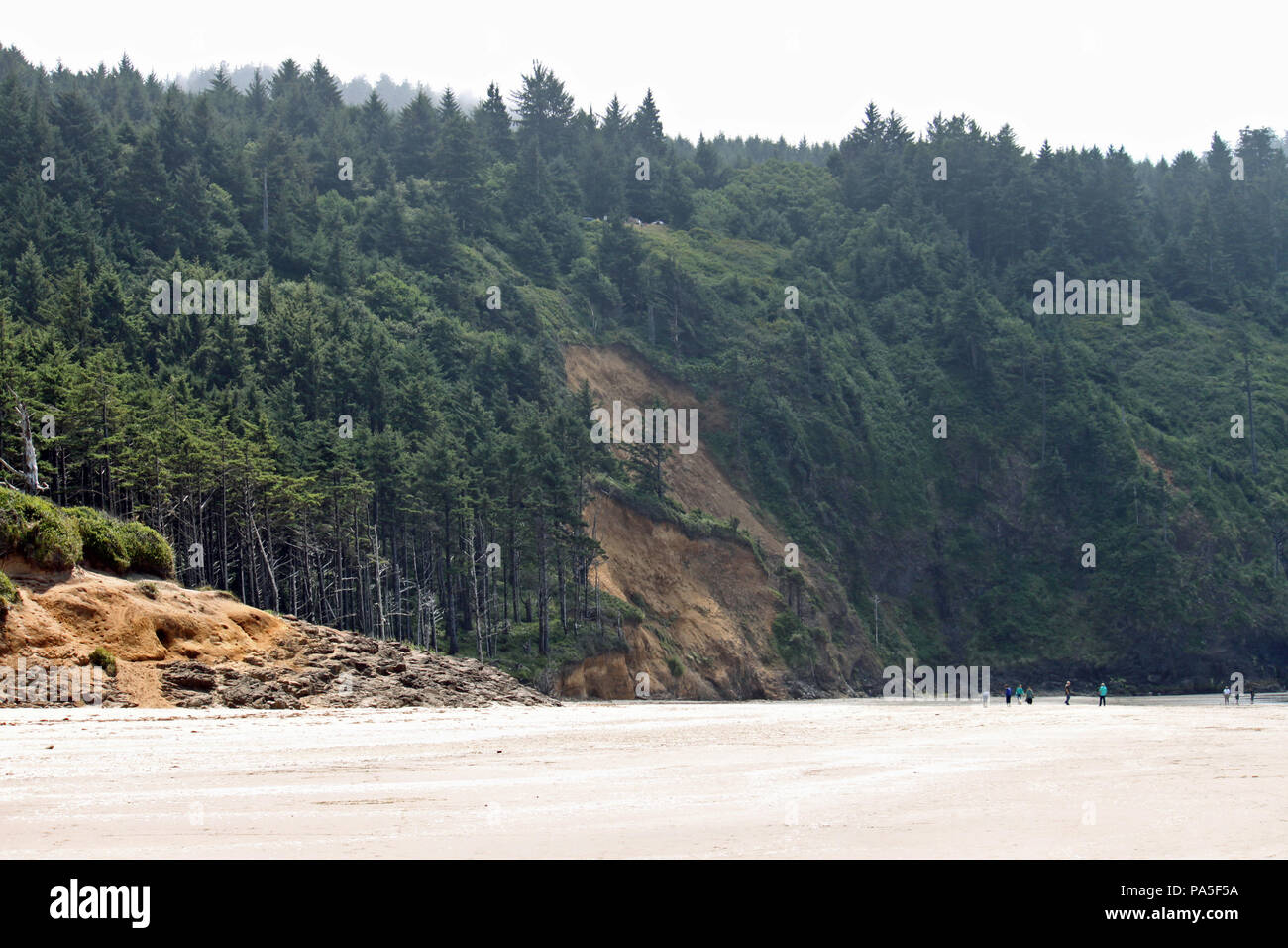 A view of a landslide along the edge of the beach Stock Photo - Alamy