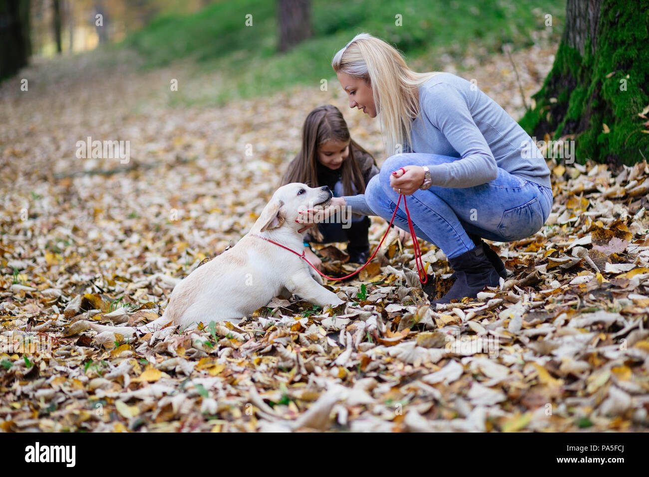 Mother and daughter with their labrador retriever puppy in park Stock ...
