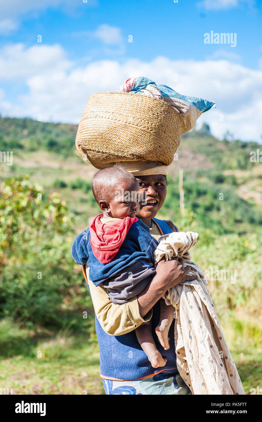 Madagascar indigenous animal hi-res stock photography and images - Alamy