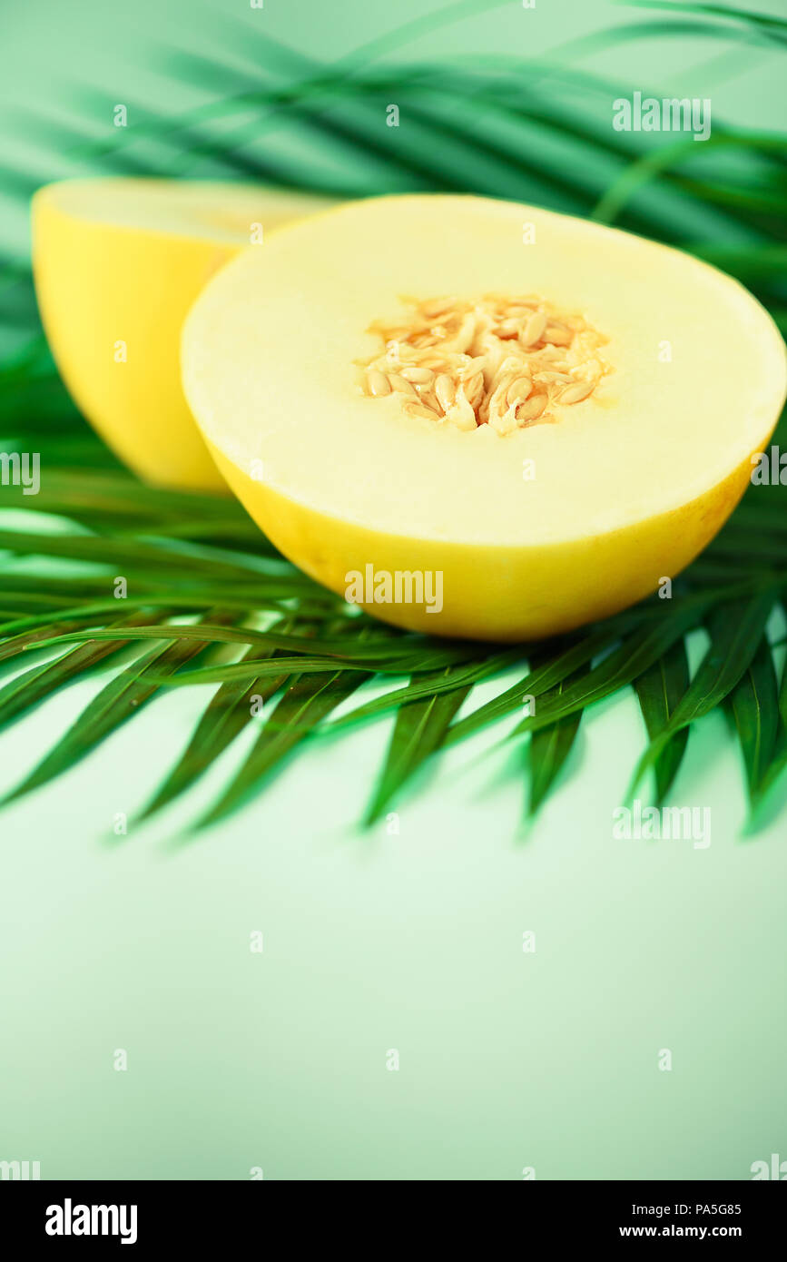 Sweet melon over tropical green palm leaves on turquoise background ...