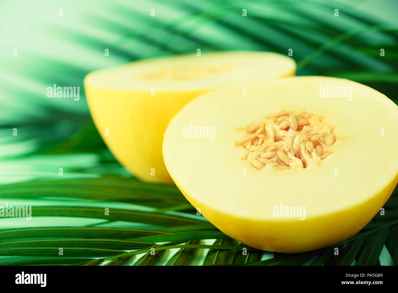 Sweet melon over tropical green palm leaves on turquoise background ...