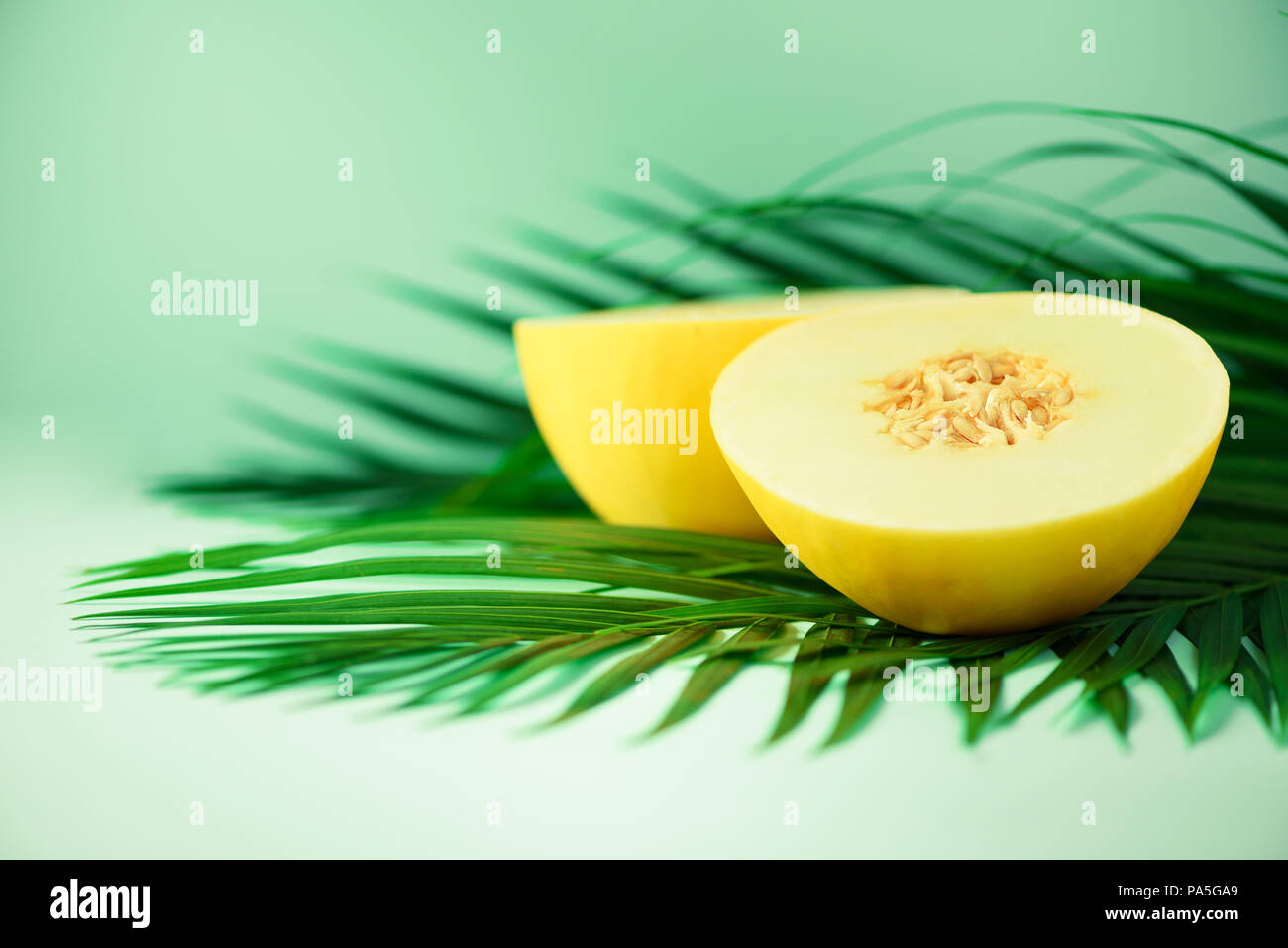 Sweet melon over tropical green palm leaves on turquoise background ...