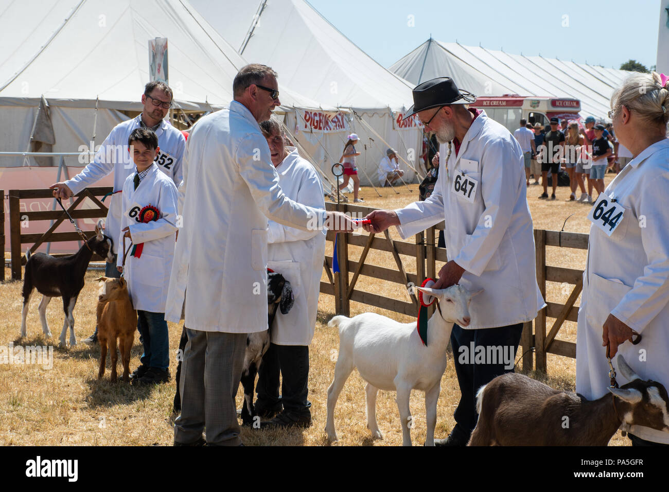 Show goats hi-res stock photography and images - Alamy