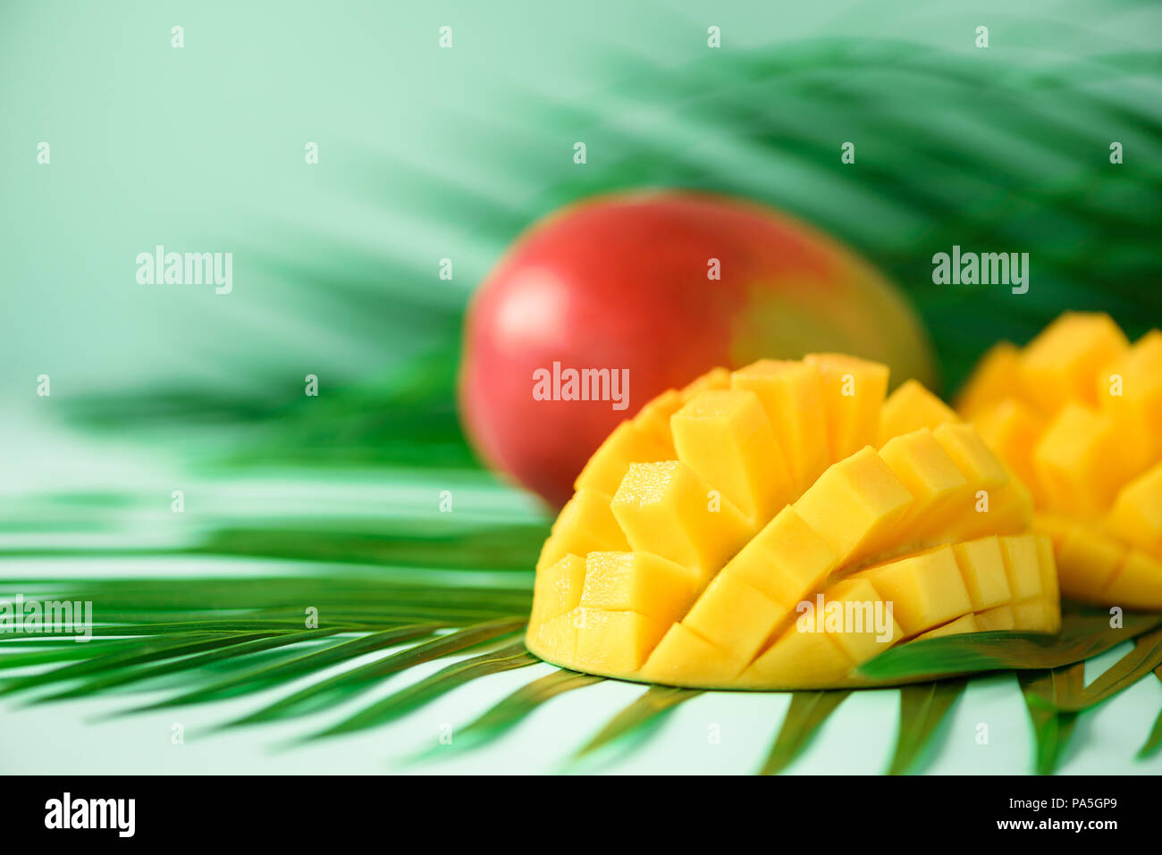 Exotic mango fruit over tropical green palm leaves on turquoise ...