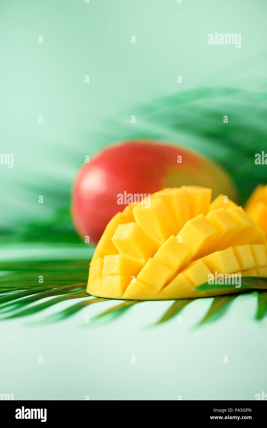 Exotic mango fruit over tropical green palm leaves on turquoise ...