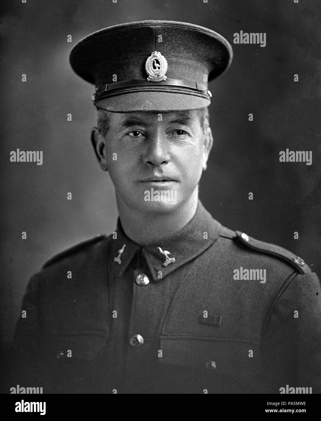 Gallaher High Resolution Stock Photography and Images - Alamy