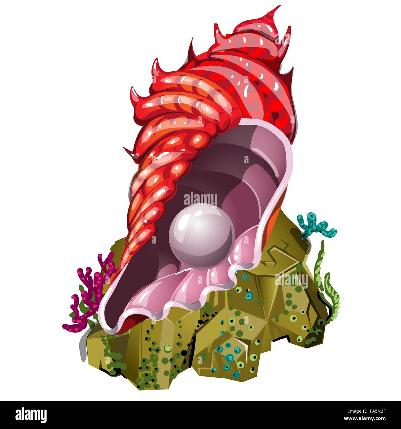 A souvenir in the form of beautiful seashell red color with natural ...