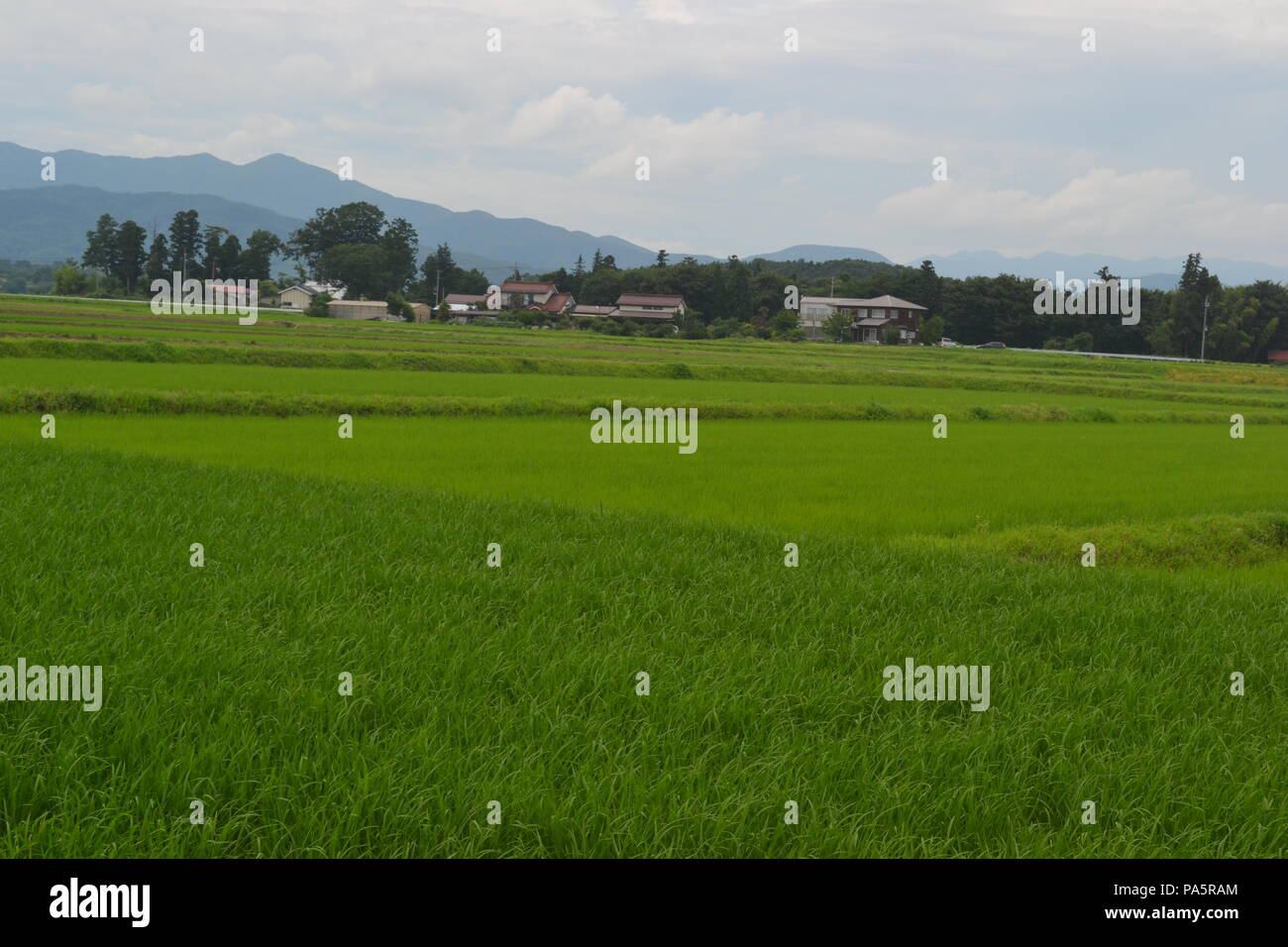 Koriyama japan hi-res stock photography and images - Alamy