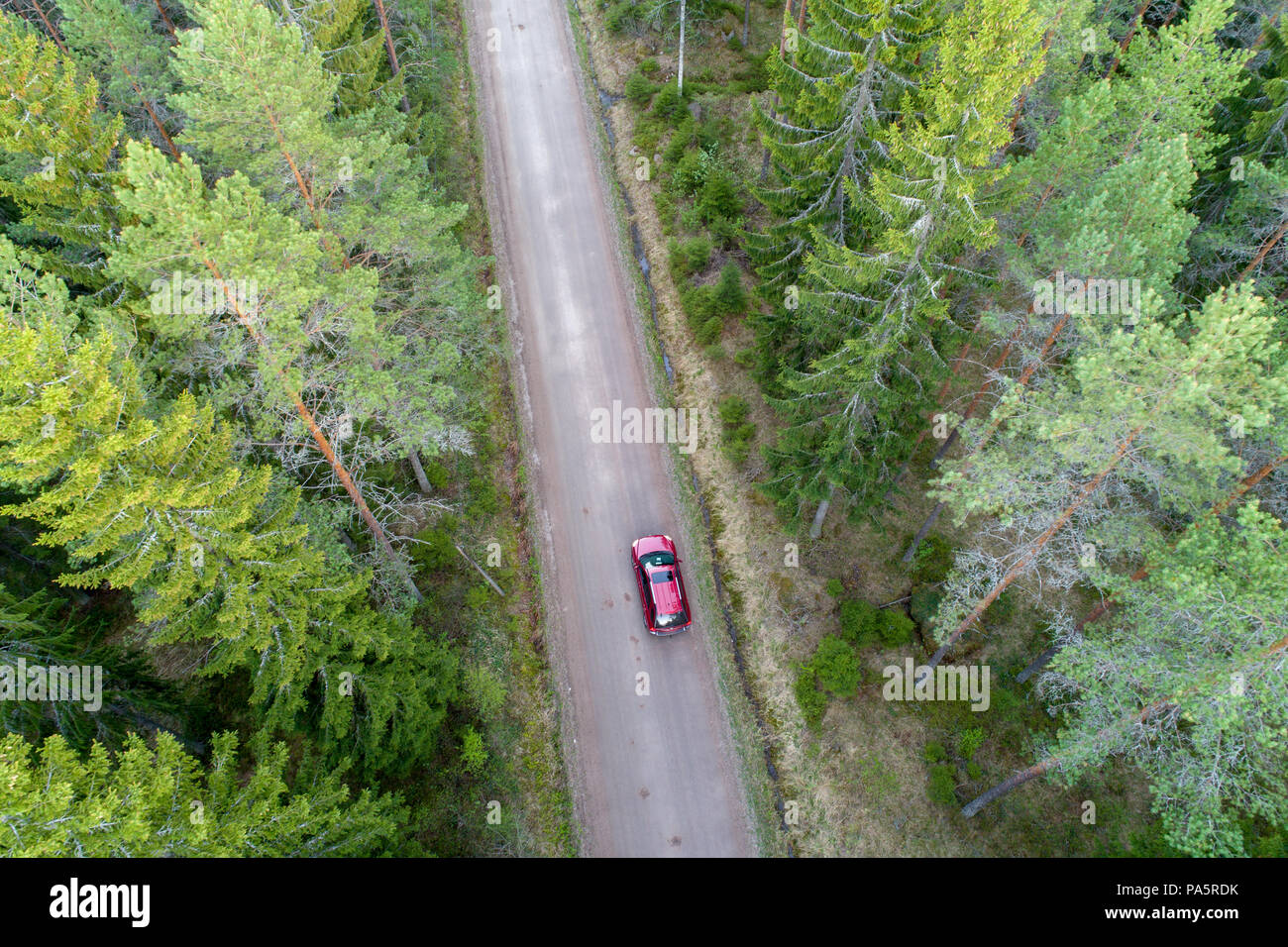 High angle aerial view of read car on forest road Stock Photo - Alamy