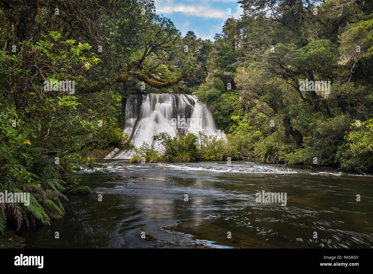 Aniwaniwa Falls, Rainforest Waterfall, Te Urewera National Park, North ...