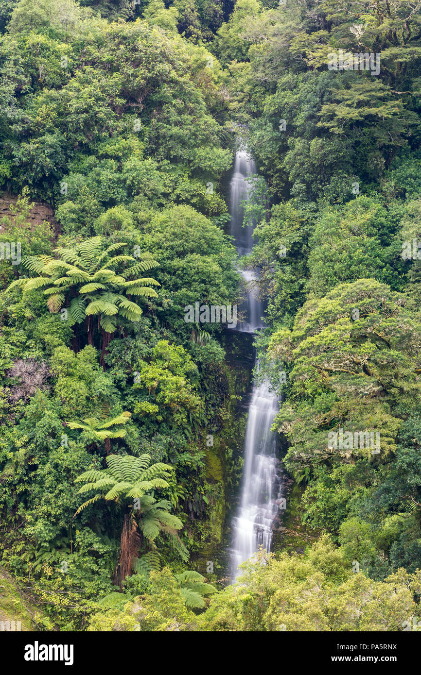 Te urewera national park hi-res stock photography and images - Alamy