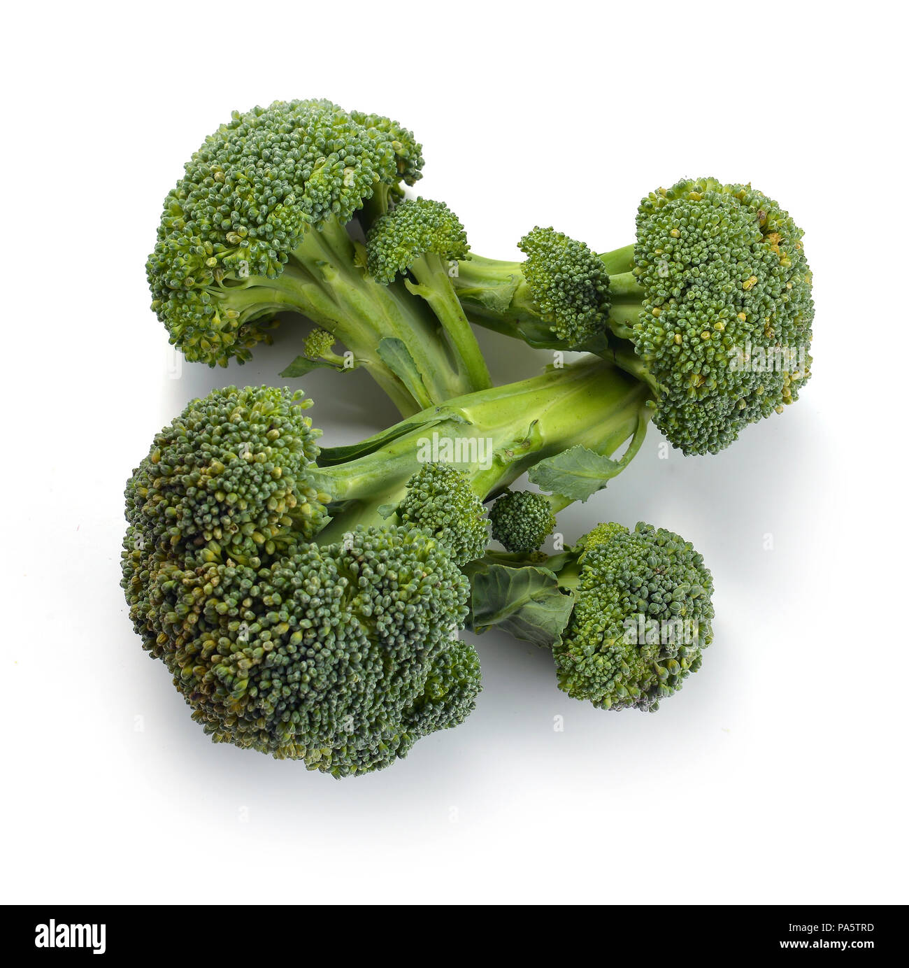 Broccoli vegetable isolated on white background Stock Photo - Alamy