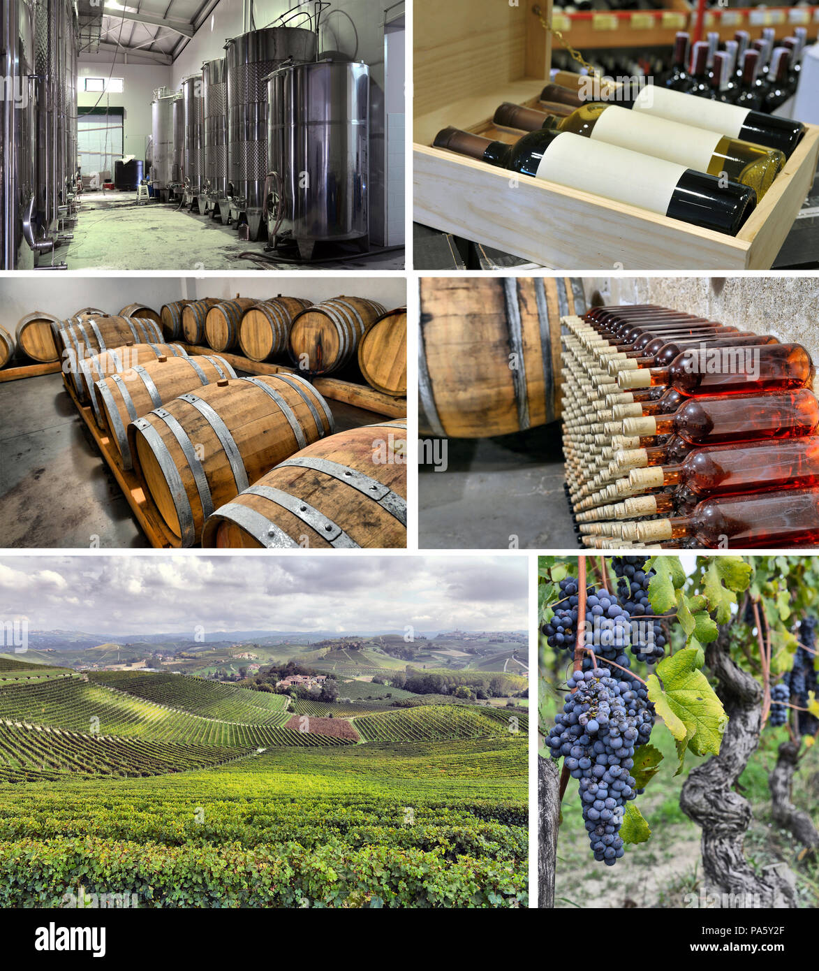 set of images of winemaking Stock Photo - Alamy