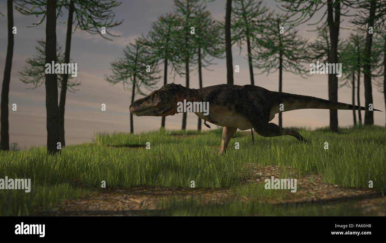 Dinosaur dinosaurs extinct tarbosaurus hi-res stock photography and ...