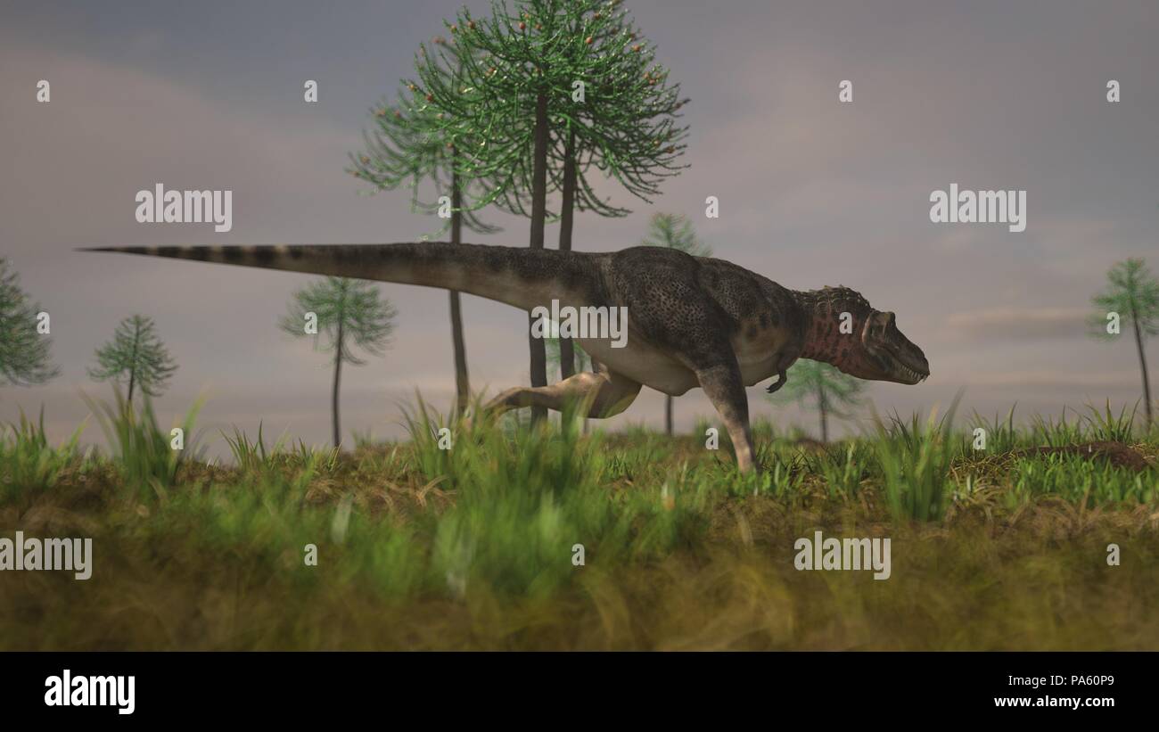 3d rendering of the tarbosaurus dinosaur Stock Photo - Alamy