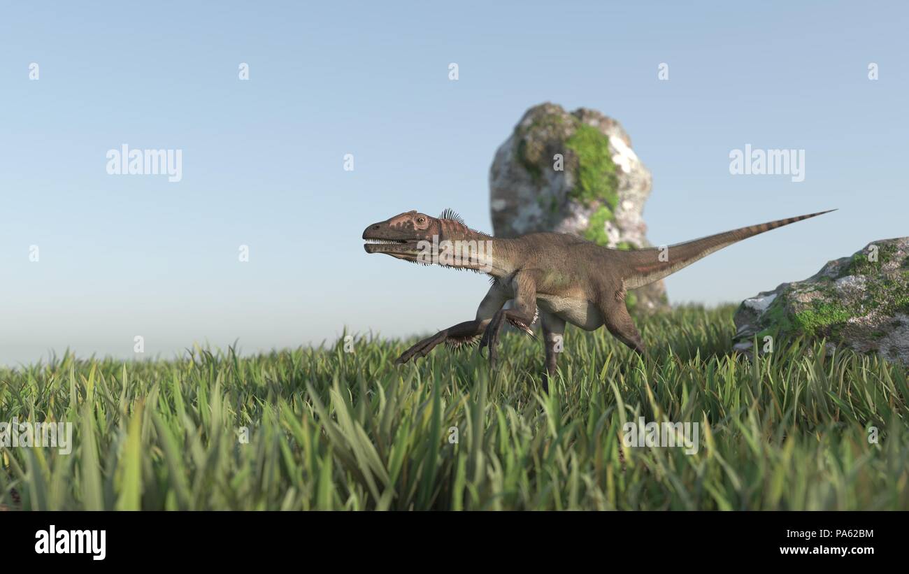 Utahraptor teeth hi-res stock photography and images - Alamy