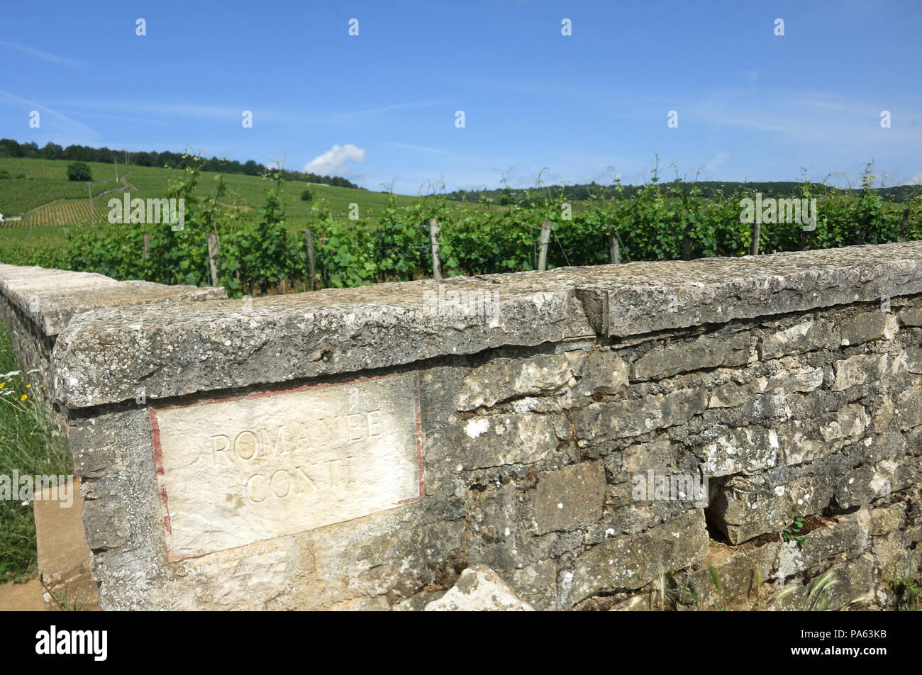 Romanée Conti vineyard, Vosne Romanée, Cote d’Or, Burgundy, France ...