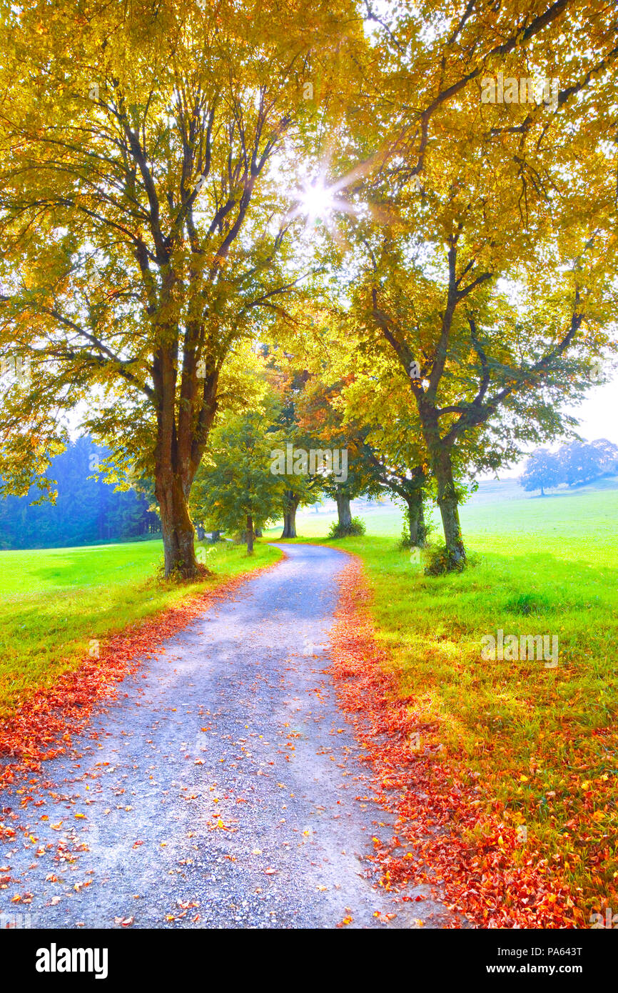 A photography of a autumn nature scenery Stock Photo - Alamy