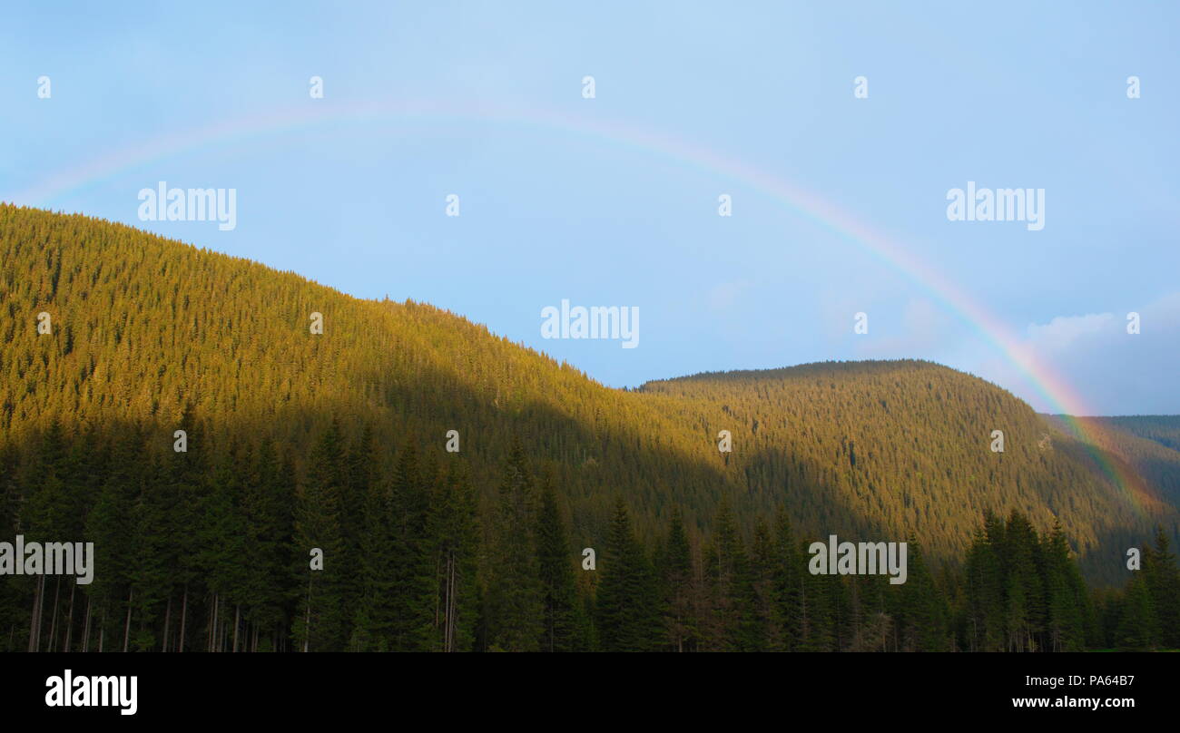 Rainbow over the forest Stock Photo - Alamy