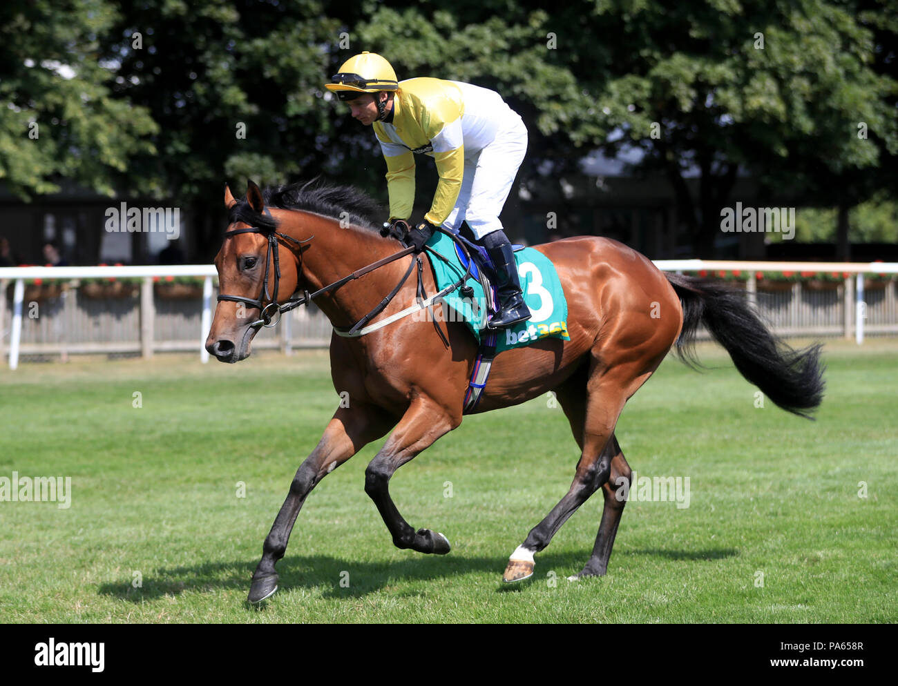 Staxton hi-res stock photography and images - Alamy