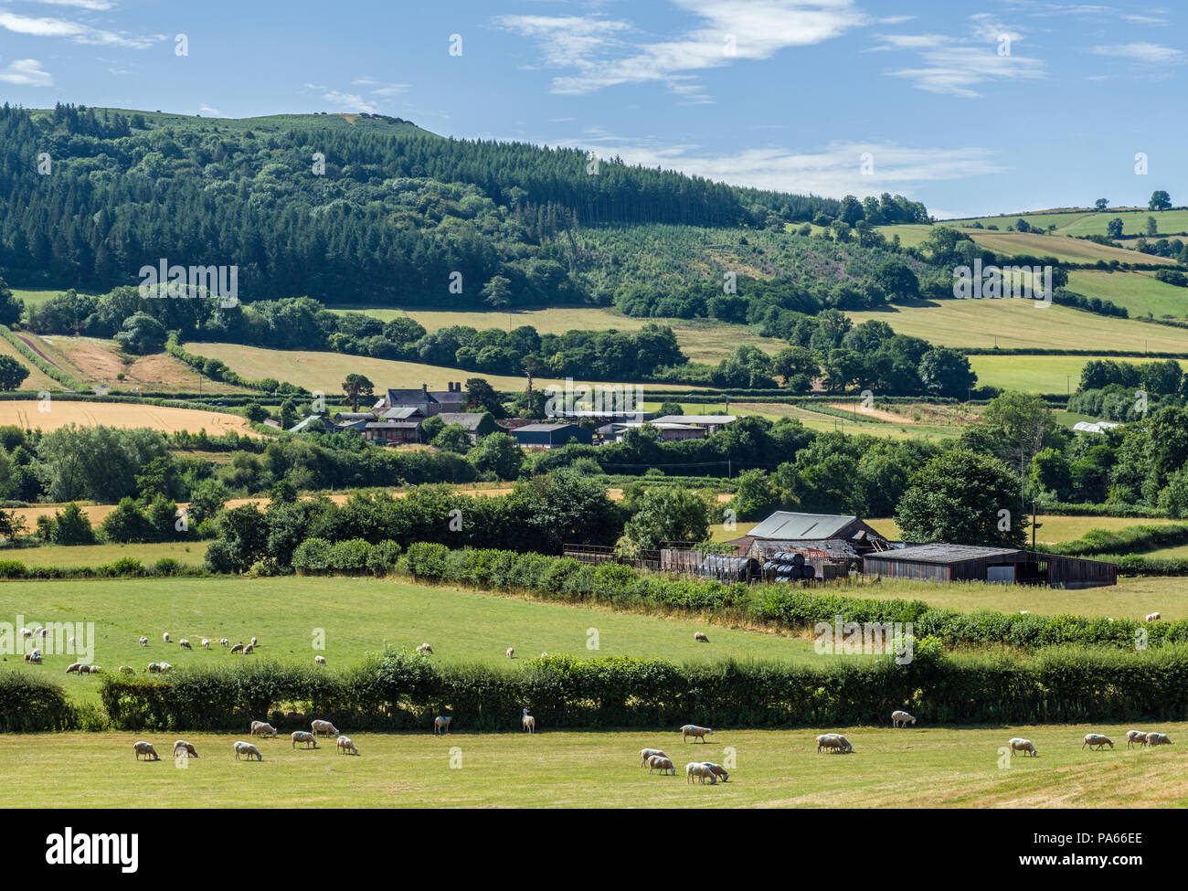 Farming agriculture mid wales landscape hi-res stock photography and ...