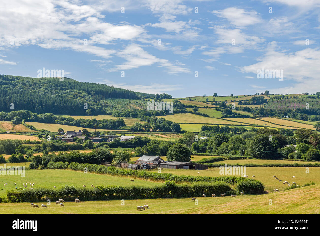 Views looking south across the Usk Valley from Aberyscir Powys Stock ...