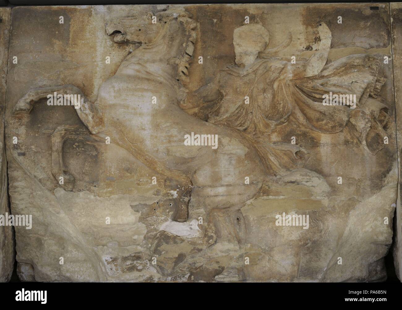 West frieze of Parthenon, Acropolis of Athens. Greece. Block W VIII, figure 15. West Horseman ...