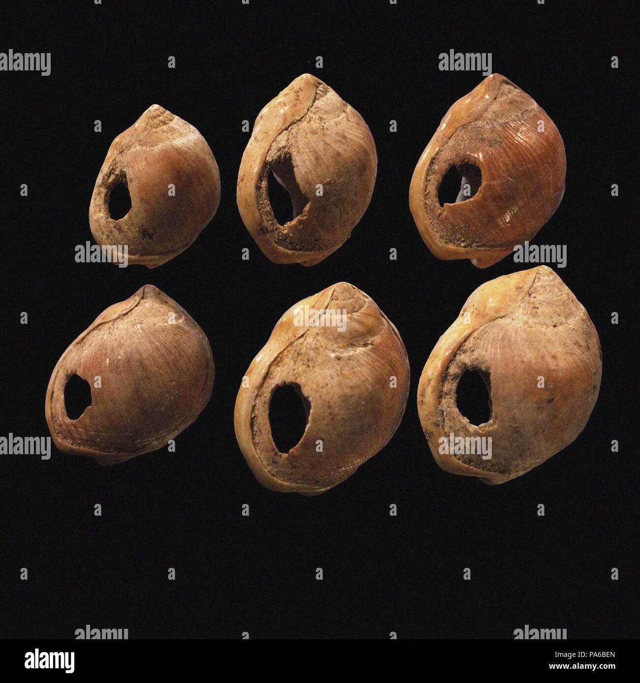 Shell beads from blombos cave hi-res stock photography and images - Alamy