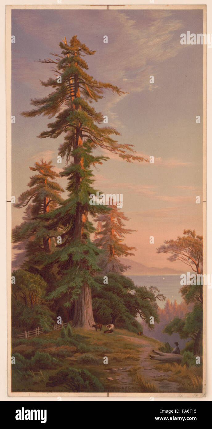 Santa cruz mtns hi-res stock photography and images - Alamy
