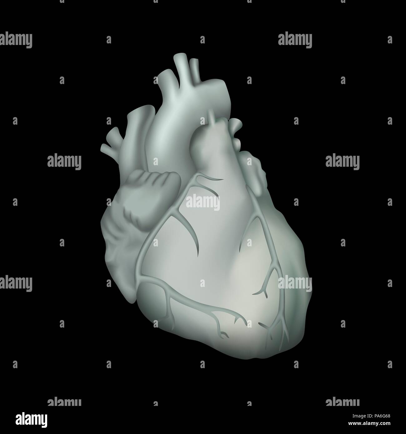 Real human heart hi-res stock photography and images - Alamy