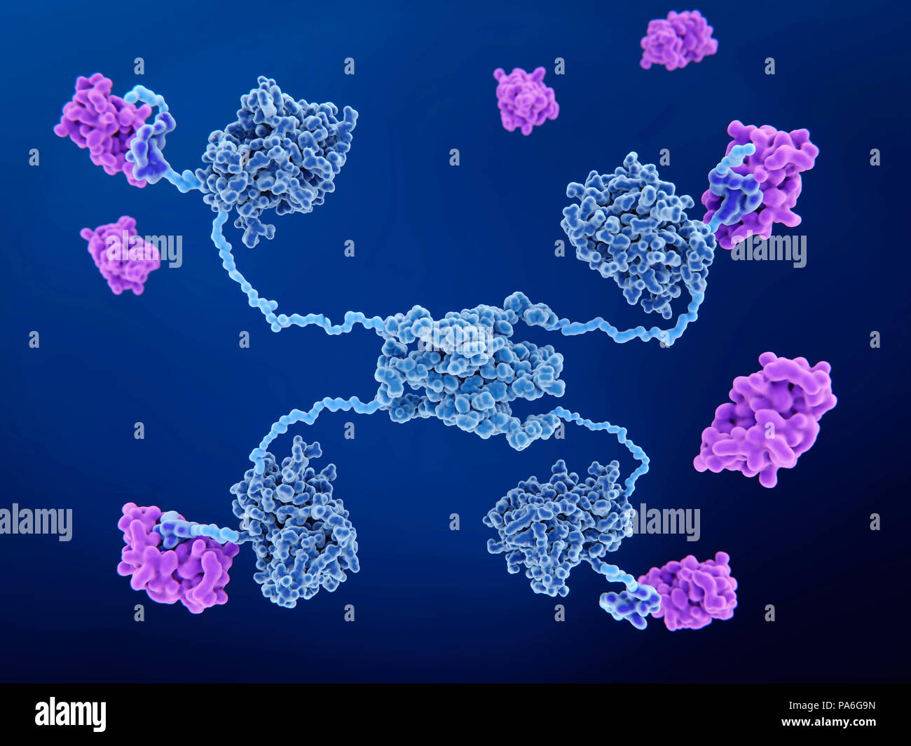 Tp53 hi-res stock photography and images - Alamy