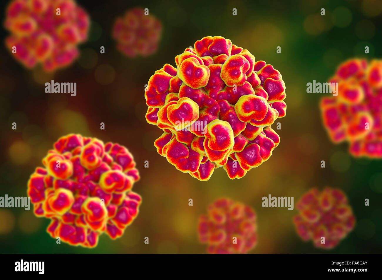Hepatitis E virus (HEV), computer illustration. HEV particles (virions ...