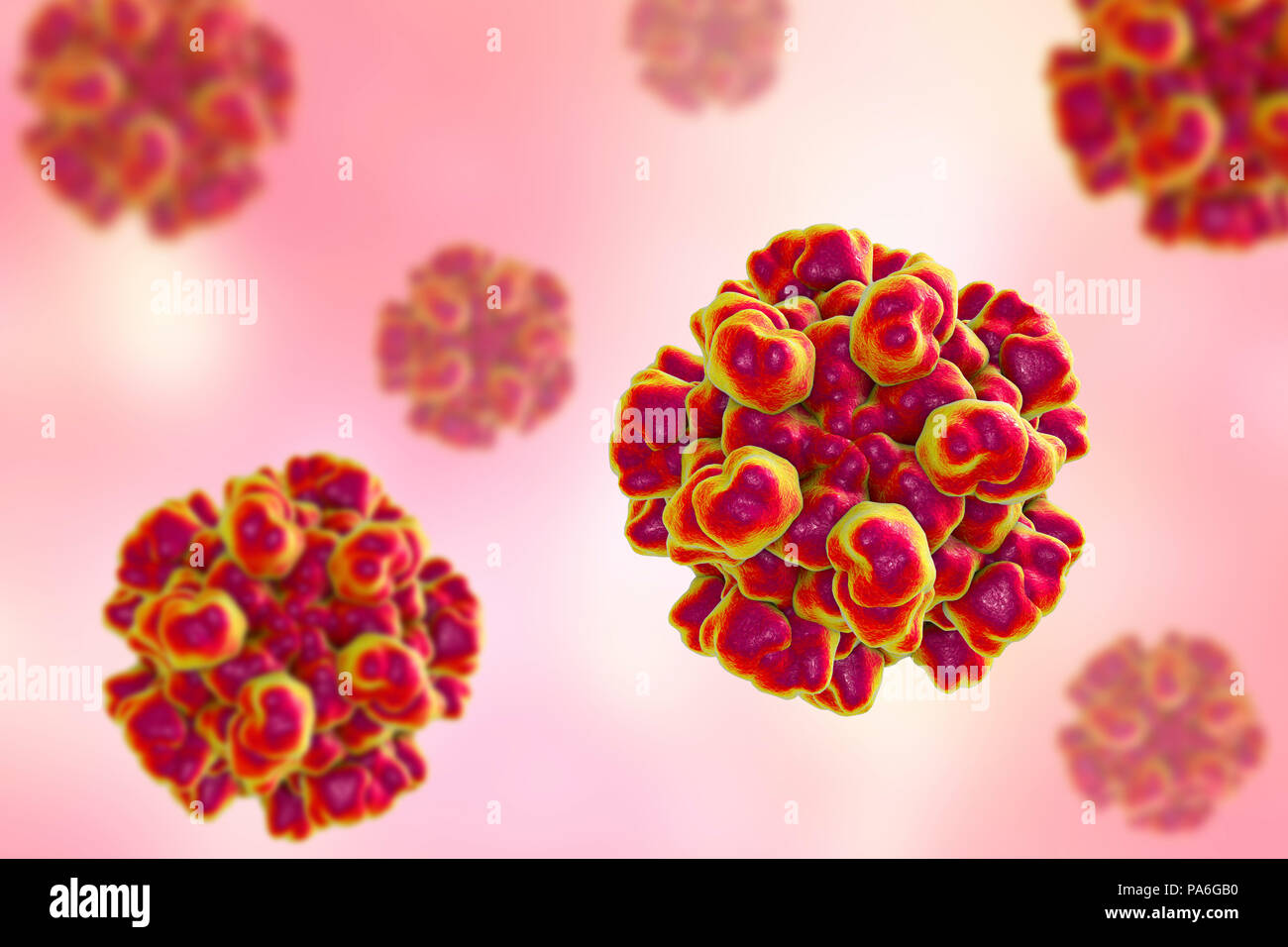 Hepatitis E virus (HEV), computer illustration. HEV particles (virions ...