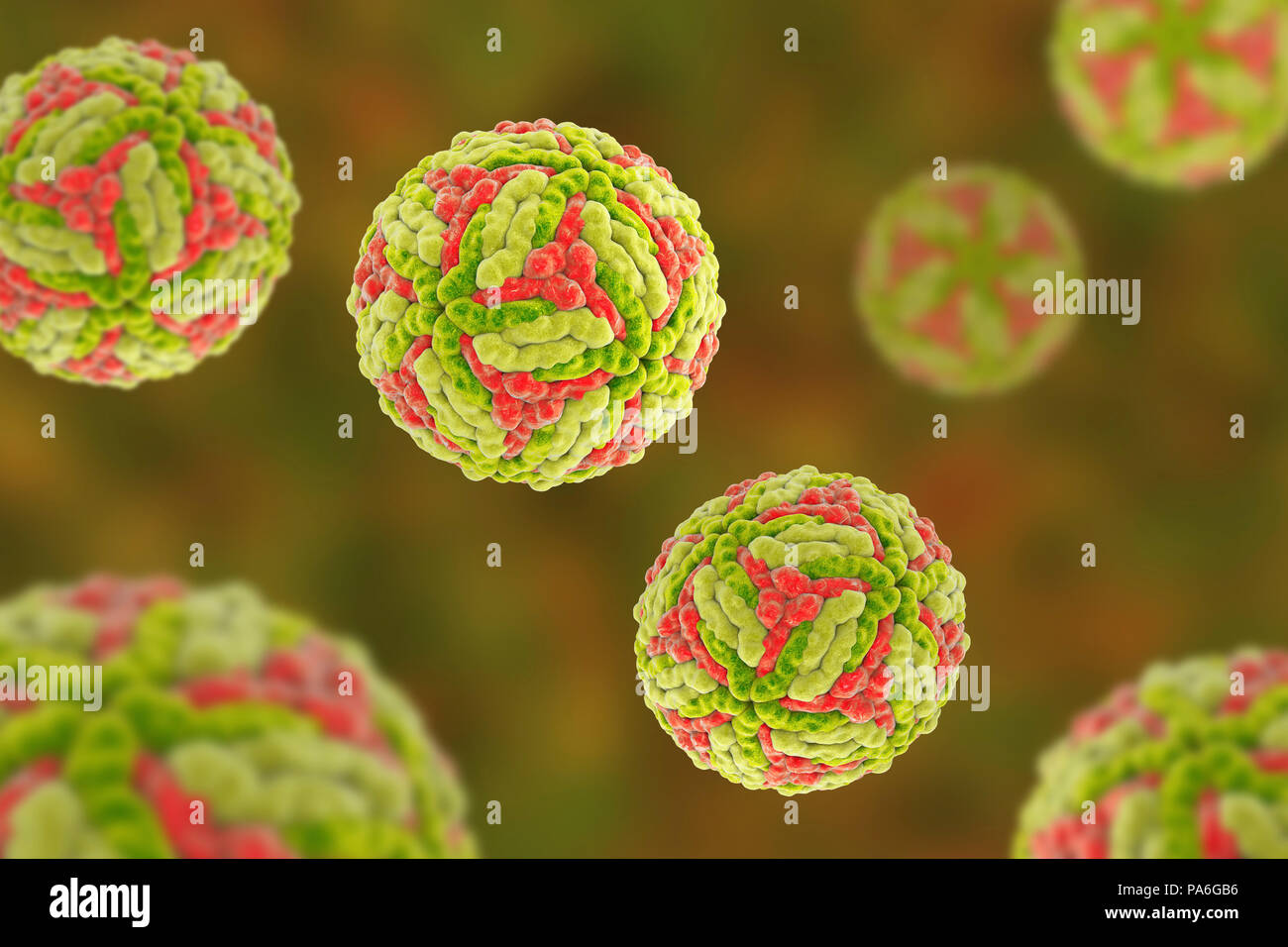 Japanese encephalitis virus (JEV), computer illustration. JEV is an RNA ...