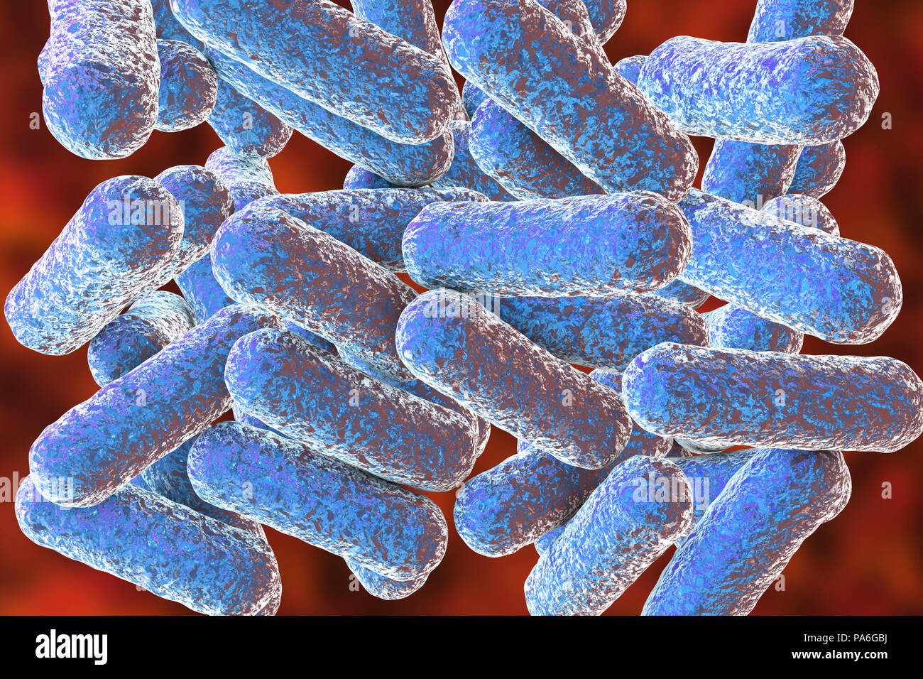 Proteus Morganii Gram Stain