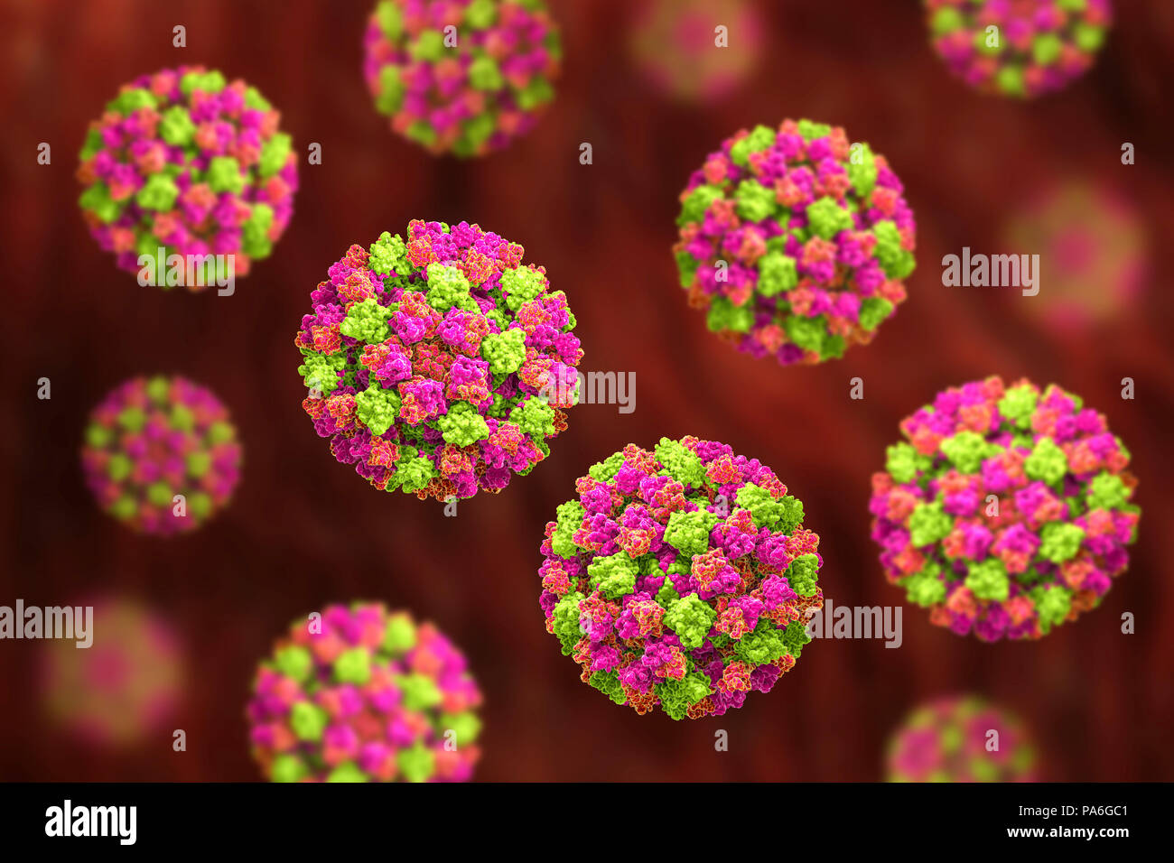 Winter vomiting disease hi-res stock photography and images - Alamy