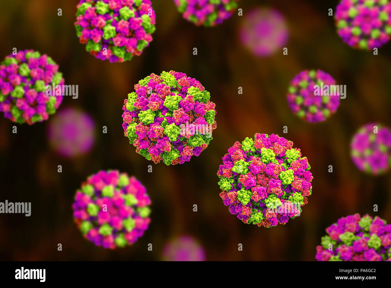 Norovirus, computer illustration. Norovirus is a genus of RNA ...