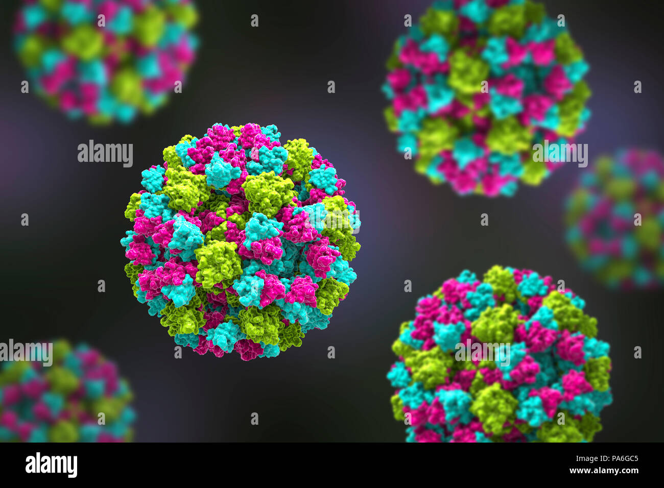 Norovirus, computer illustration. Norovirus is a genus of RNA ...