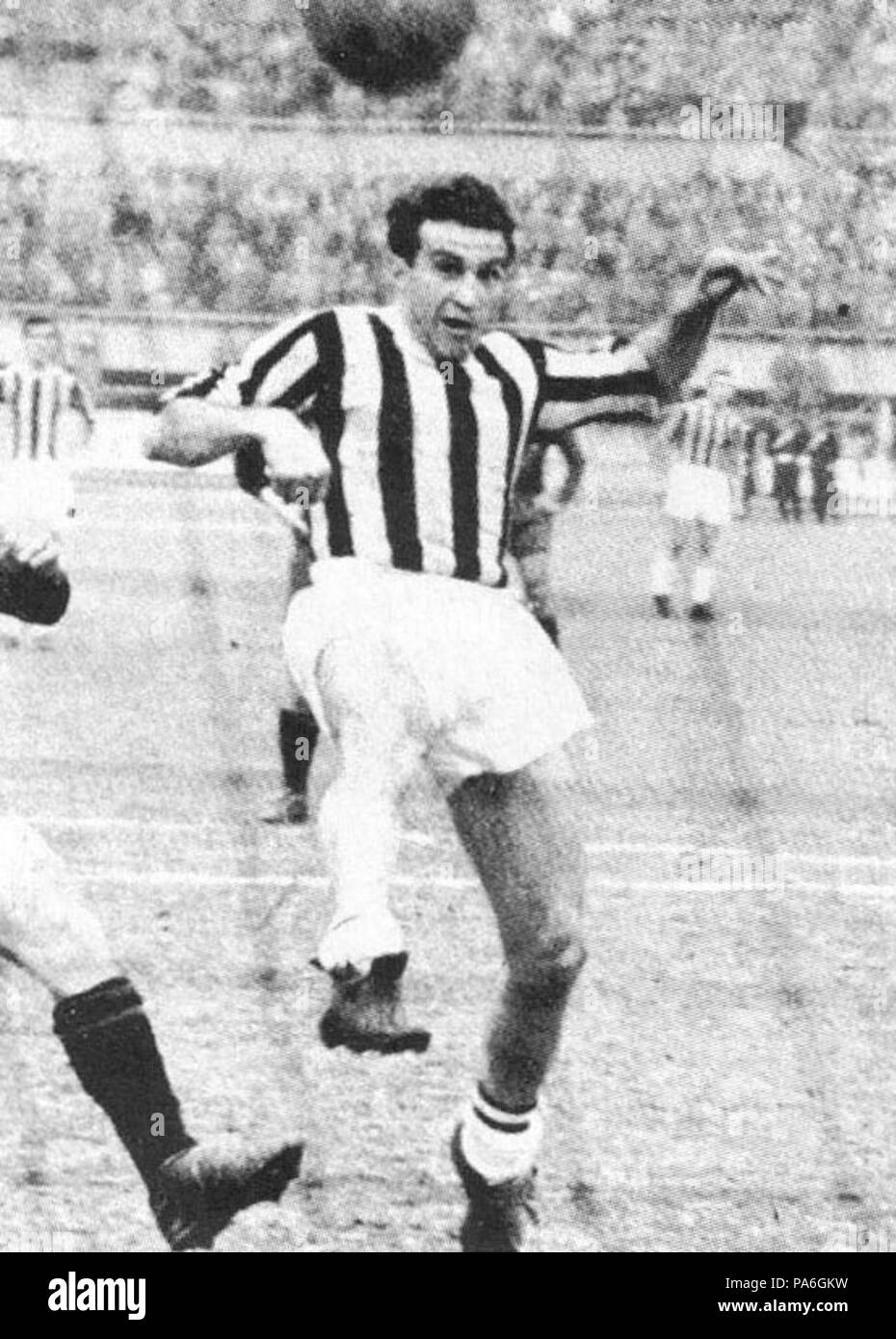 213 Raúl Conti - Juventus FC 1956-57 (cropped Stock Photo - Alamy