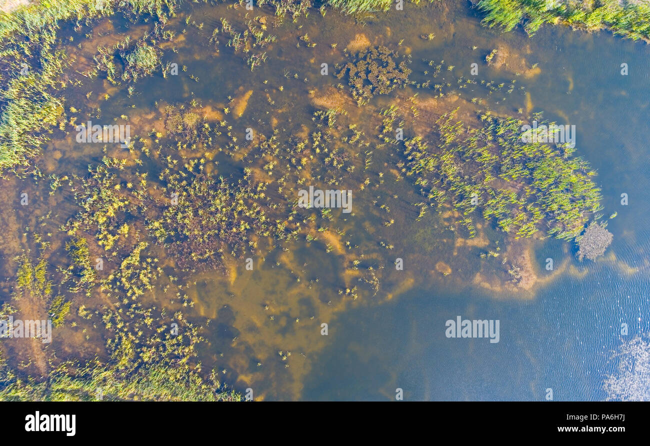 Transparent pond hi-res stock photography and images - Alamy