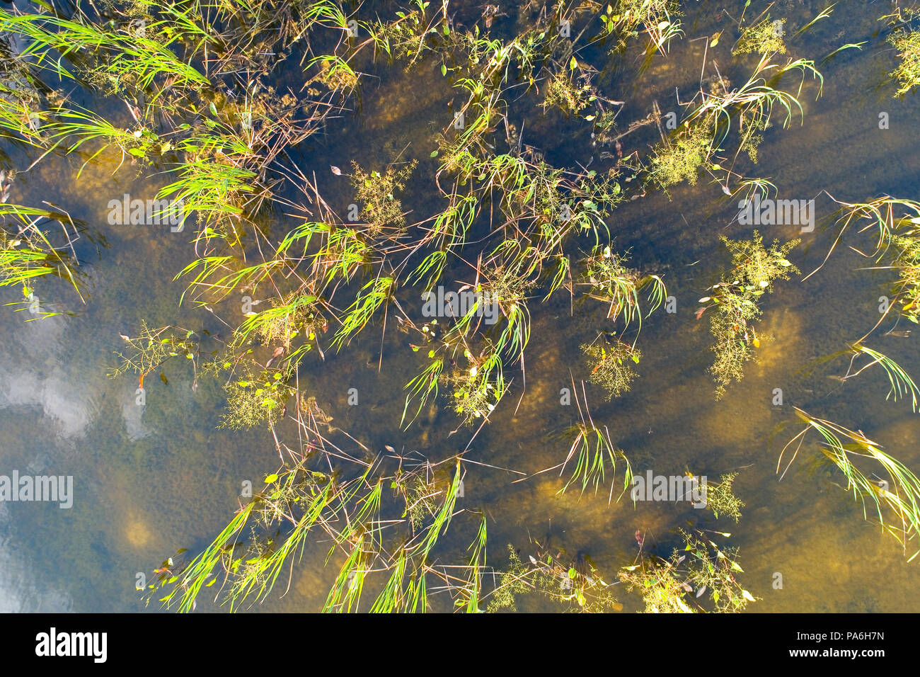 Pond aerial hi-res stock photography and images - Alamy