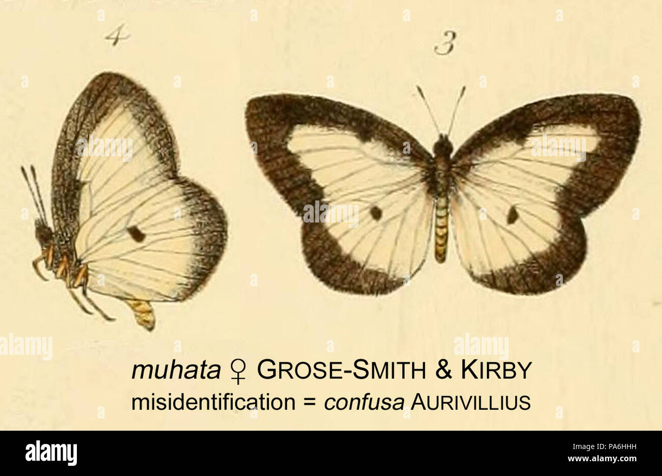 Drug breakthroughs hi-res stock photography and images - Alamy