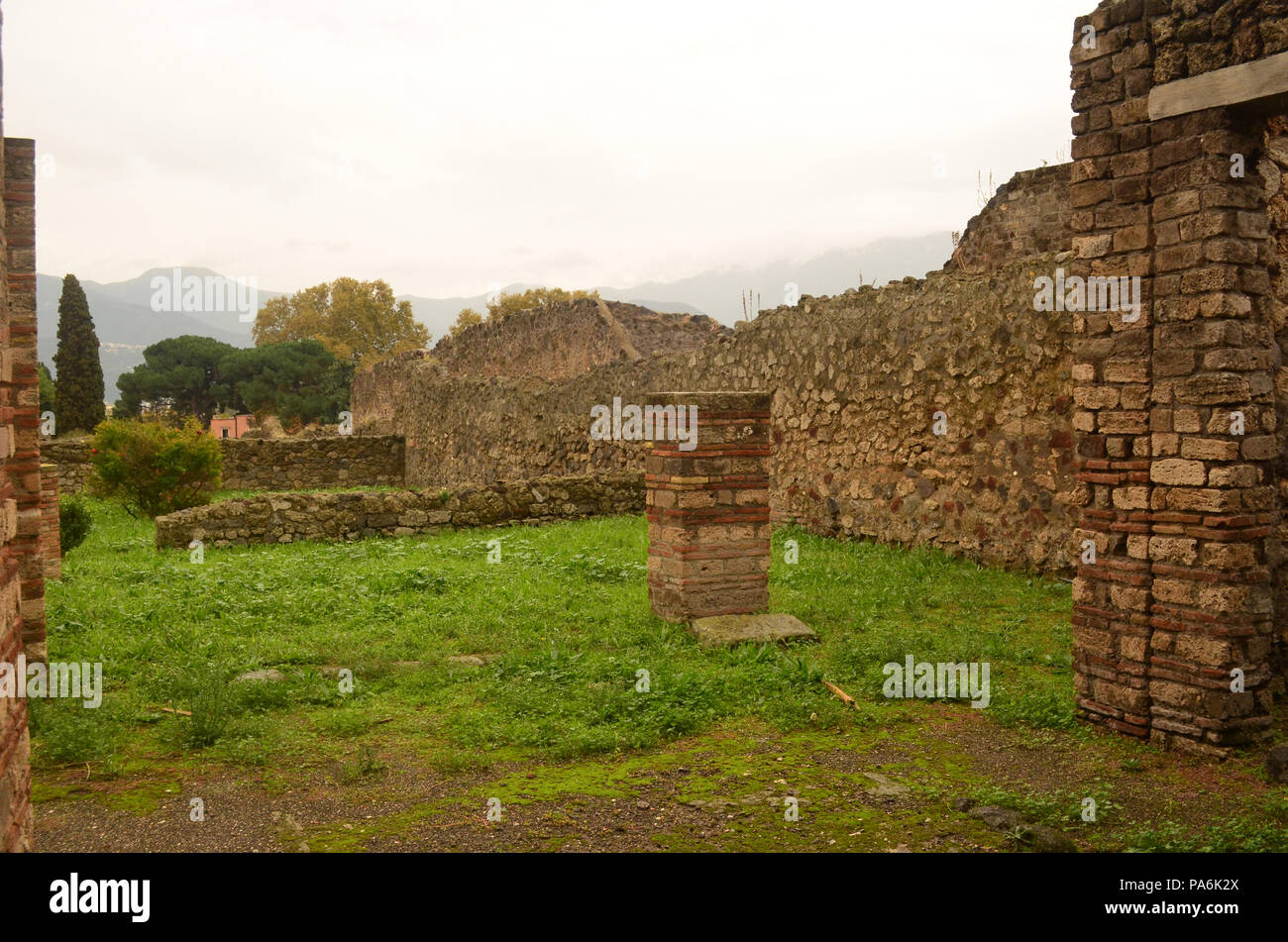 Grassy field with volcano hi-res stock photography and images - Alamy